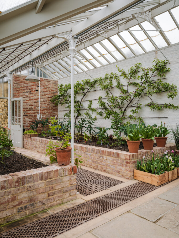 A Room of One's Own: tulip grower Polly Nicholson's glasshouse