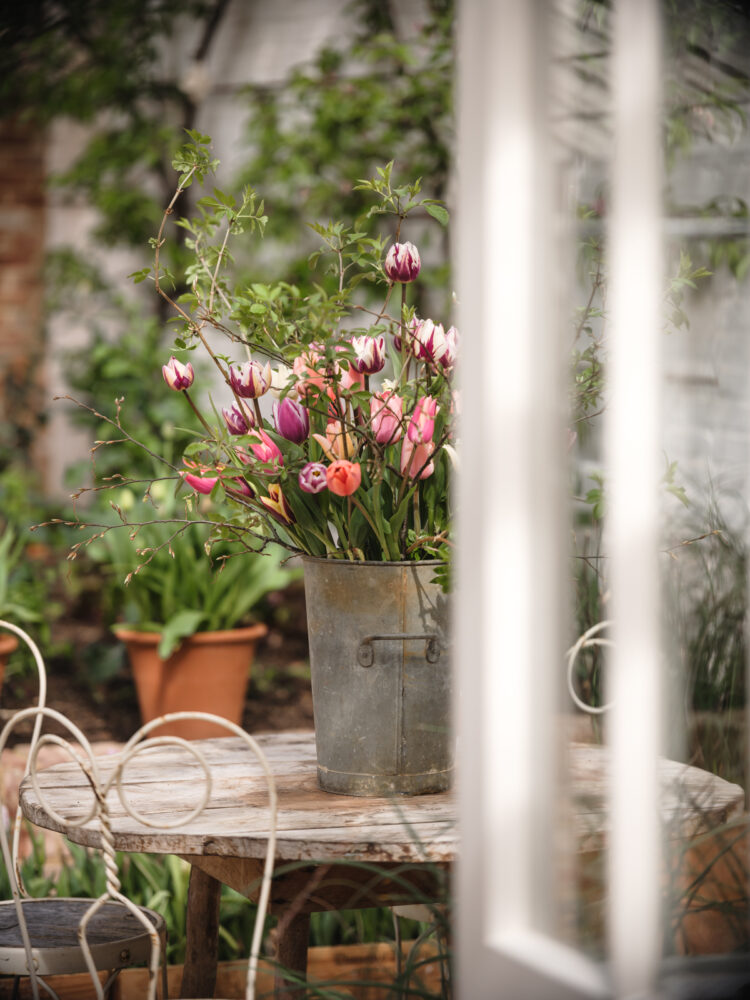 A Room of One's Own: tulip grower Polly Nicholson's glasshouse