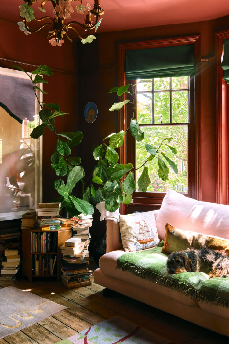 A Private View: life through a colourful lens, with Jamie Hawkesworth